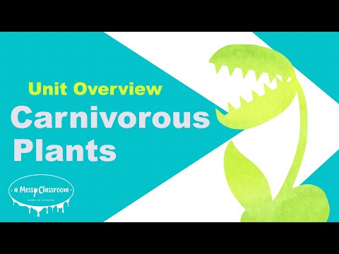 Second Grade Carnivorous Plant Learning Unit: Crafts Reading Writing| Teachers Pay Teachers Resource