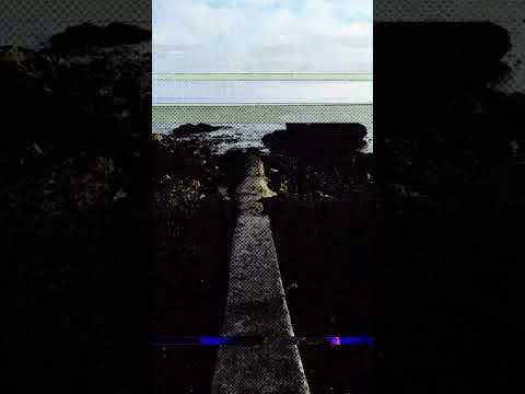 Watch: ‘Walk Into The Sea’ by Well Martin This Is Different | Aural ...