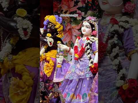 Jai shree krishna bolo jay radhe🦚🦚 #radhakrishna #bhaktistatus #bhakti_ringtone #shorts #ytshorts