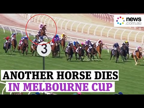 Melbourne Cup 2020 horse Anthony Van Dyck dies