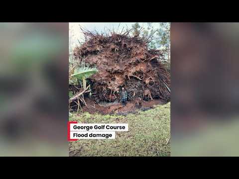263 trees downed by 11 May 2026 storm - George Golf course changed ...