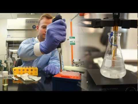 Professional Science Master's in Medical Biotechnology