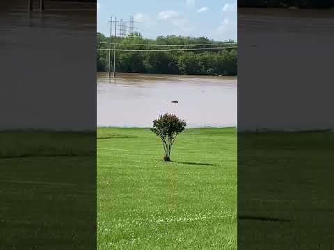 Red River flooding behind Willow Terrace Drive