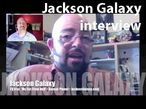 My Cat From Hell star Jackson Galaxy coughs up Mr. Media! INTERVIEW 1/2