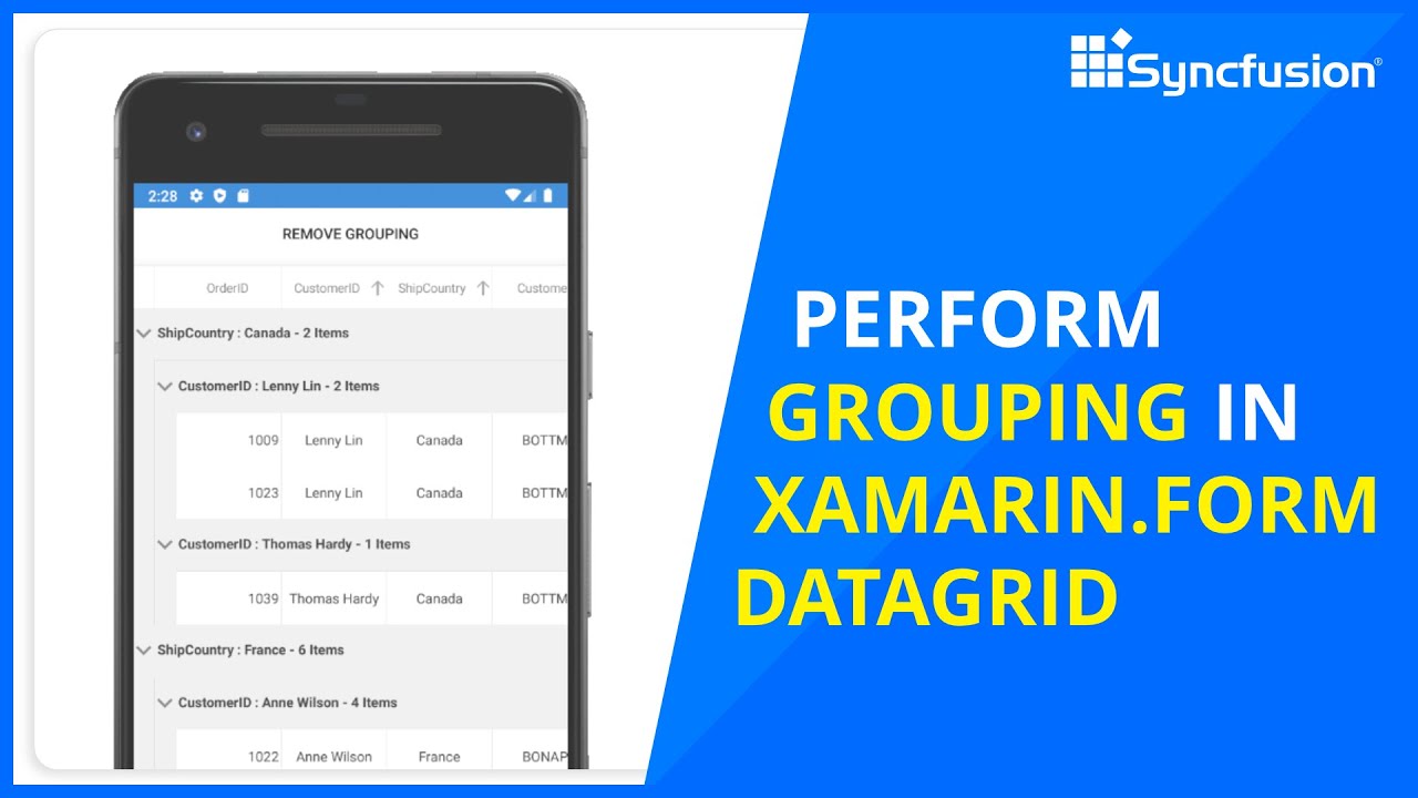 Perform Grouping in Xamarin Forms DataGrid