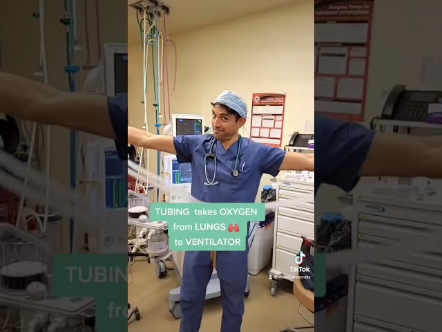 Portable Anaesthesia Machine - Mark IV MS Anesthesia Machine Retail ...