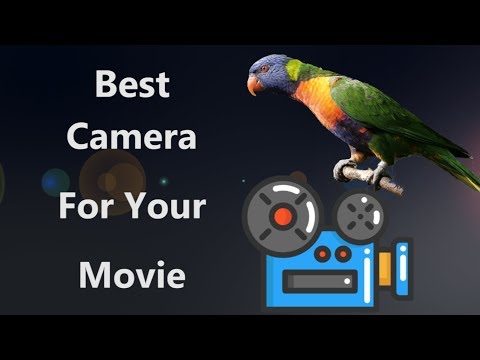 START Filming YOUR Movie With $1000 Or Less Top 5 Cameras