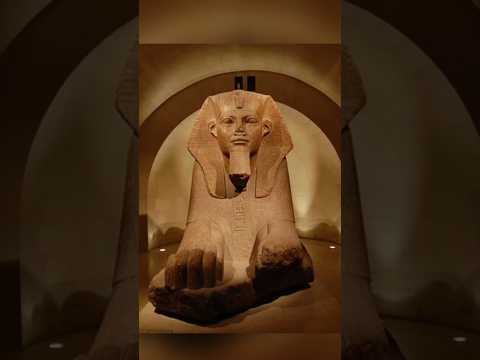 Who Was Amenemhat II? Discover the Secrets of His Rule!🌑