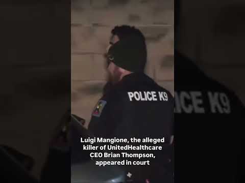 Luigi Mangione, the alleged killer of UnitedHealthcare CEO Brian Thompson, appeared in court.