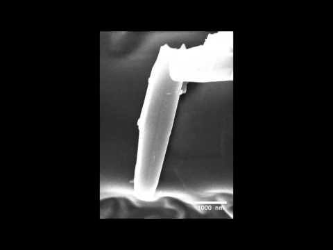 ACS Nano : Mechanically and Chemically Robust Sandwich-Structured C@Si@C Nanotube Array Li-Ion...