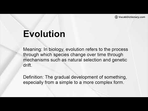 Evolution Meaning