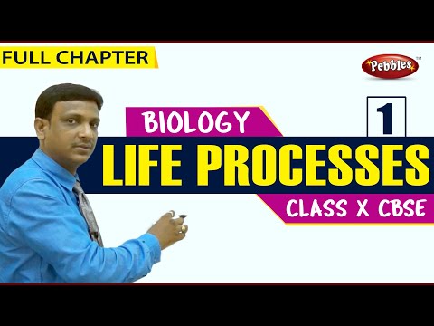 Life processes full chapter part 1 ​| 10th class Biology | CBSE Syllabus Biology