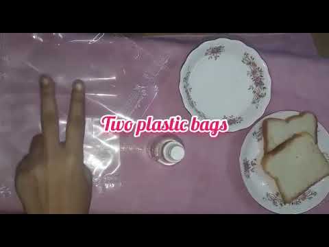 Bread mould experiment