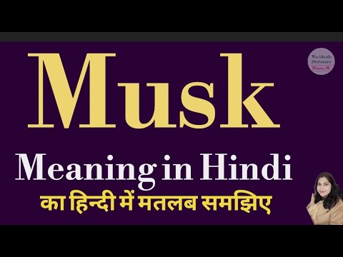 Musk meaning l meaning of musk l musk ka matlab Hindi mein kya hota hai l vocabulary and