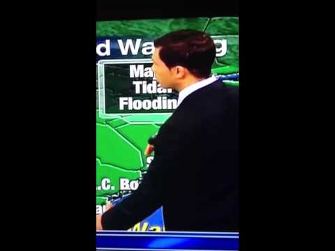 Cecily Tynan calling Adam Joseph a moron