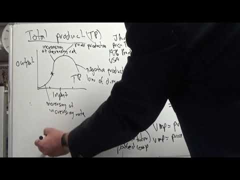 production function in microeconomics with TEFAT