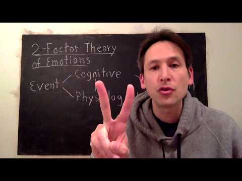 Feeling Stressed? Try the 2-Factor Theory
