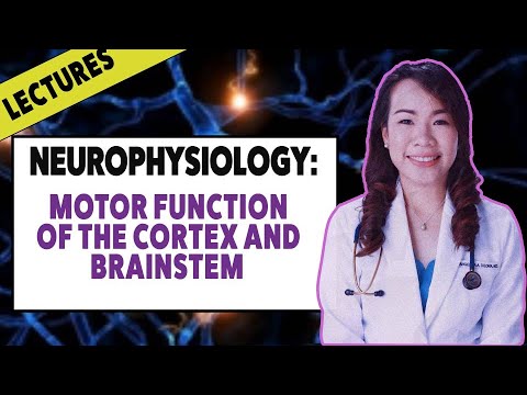 Lecture - Neuro Physiology: Motor Function of the Cortex and Brainstem