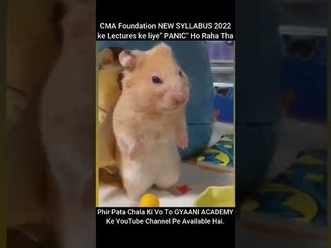 CMA Foundation New Syllabus 2022 | June 2023 Attempt | Gyaani Academy