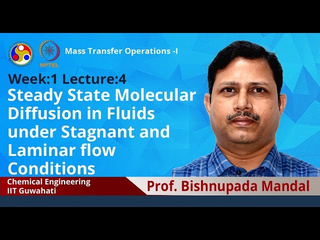 Understanding Steady State Molecular Diffusion in Fluids: A ...