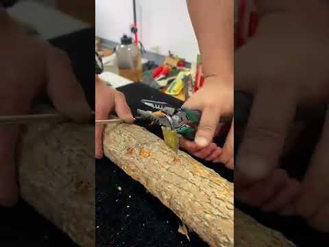 tiktok clips (593) amazing relex stistiyng vedio#shorts #stisfyingvideo