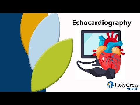 What is an Echocardiogram?