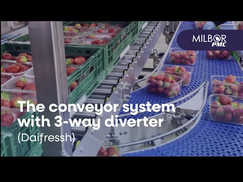The conveyor system with 3-way diverter (Daifressh) | Milbor PMC