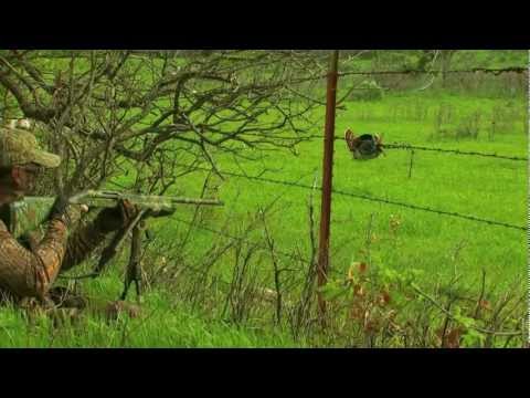 Hunting Eastern Turkeys in Oklahoma