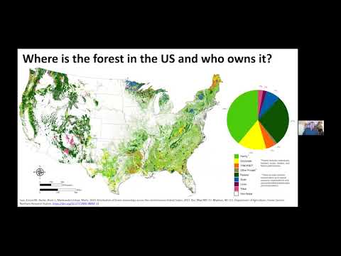 How Forests Provide a Carbon ‘Sink’