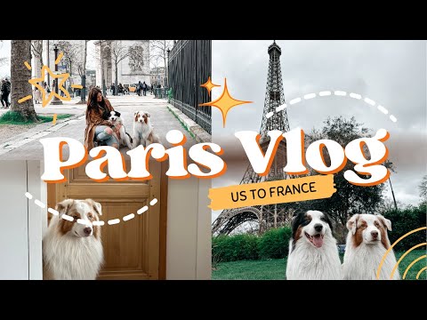 My dogs go to Paris | US to France