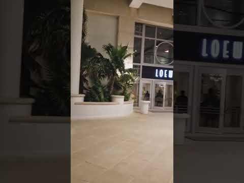 Loews hotel