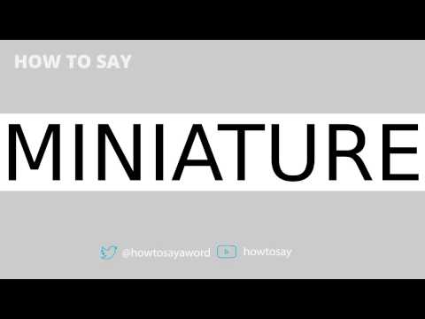 How to Say "Miniature"