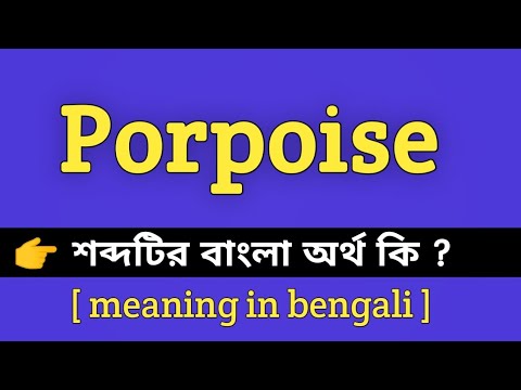 Porpoise Meaning in Bengali || Porpoise শব্দটির বাংলা অর্থ কি || Bengali Meaning Of Porpoise