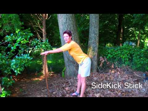 Tell Me About the Sidekick Stick®