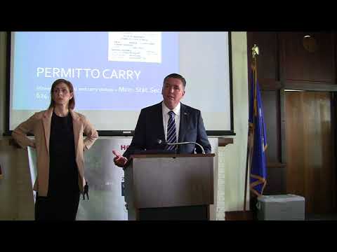 Minnesota Gun Laws