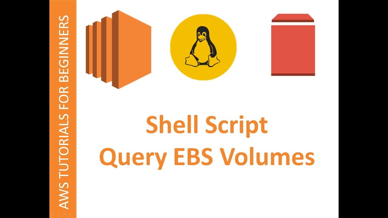 AWS CLI  | Shell script to Query EBS Volumes