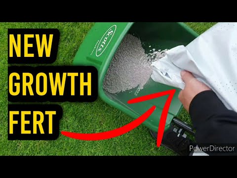 First Lawn Fertiliser Before and After (6-9-6)