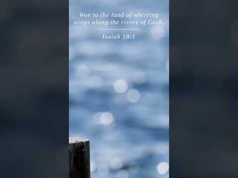 Bible | Isaiah 18:1 | Woe to the land of whirring wi...