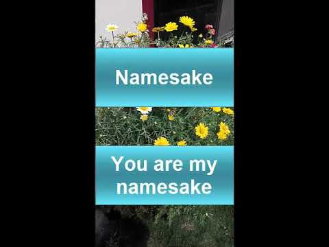 Namesake meaning | #shorts | #youtubrshorts