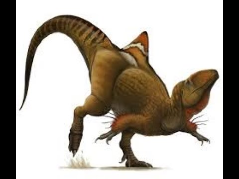Obscure Paleos #3: Concavenator Corcovatus