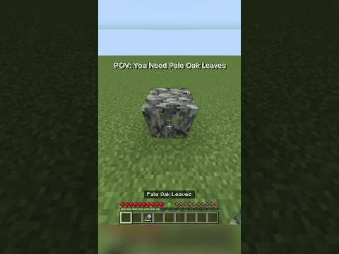POV: You Need Pale Oak Leaves #cool #minecraft #gaming #foryou #pov #relatable