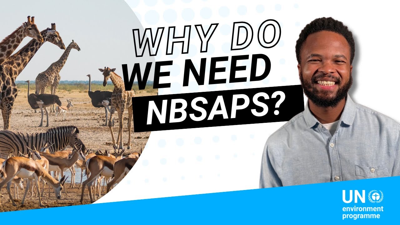 How National Biodiversity Strategies and Action Plans - NBSAPs - can save our planet