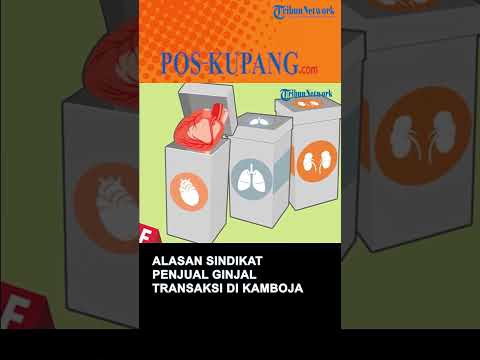 Alasan Sindikat Penjual Ginjal Indonesia Pilih Transaksi di Kamboja