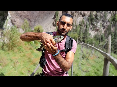 Let's Go Trout Fishing in Skardu, PAKISTAN