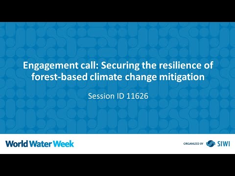11626 Engagement call: Securing the resilience of forest-based climate change mitigation