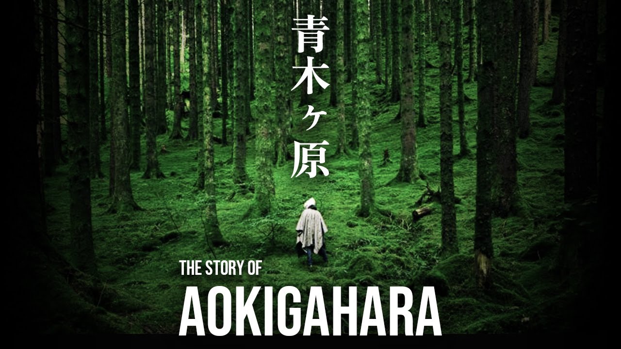 Aokigahara: Japan’s Forest of LIFE & DEATH