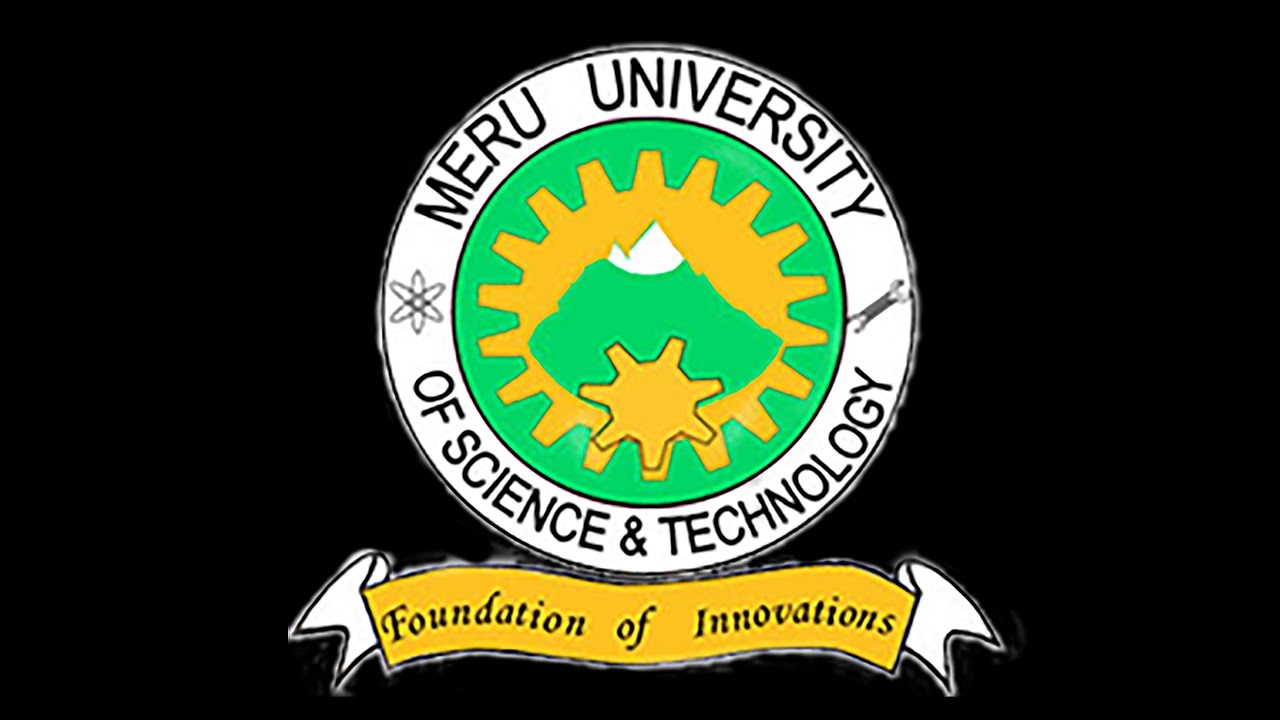Meru University of Science and Technology International Conference