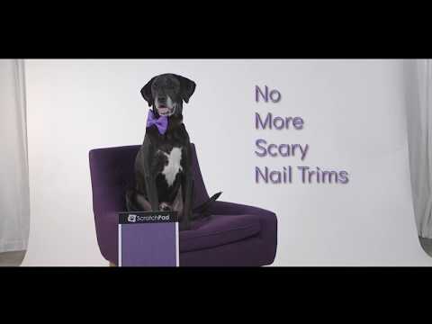 ScratchPad for Dogs