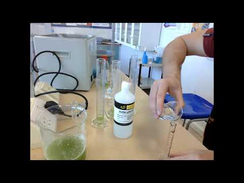 To investigate the effect of temperature on enzyme activity