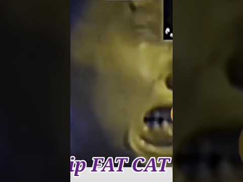 rest in peace FATCAT 🙏😢😭